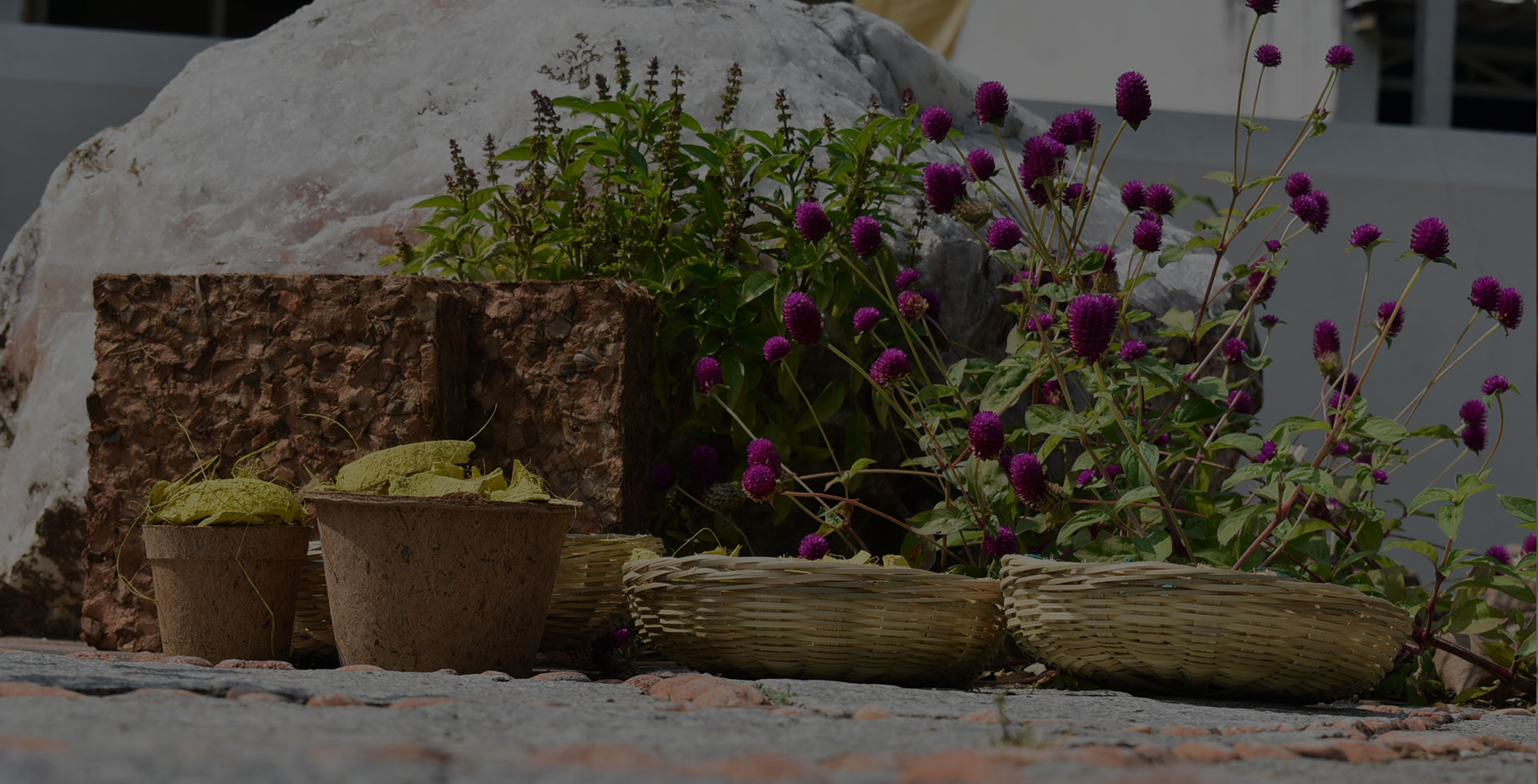 Coco Flora | Manufacturer & Exporter of Cocopeat & Coconut Coir Products